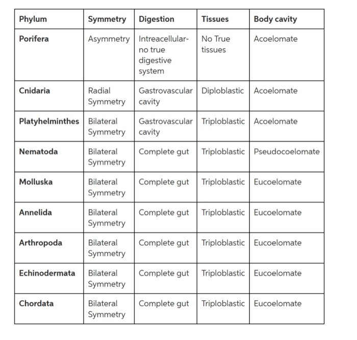 Solved Now, use your character matrix to insert the | Chegg.com