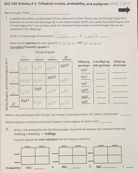 Solved BIO 340 Activity # 3: Trihybrid crosses, probability, | Chegg.com