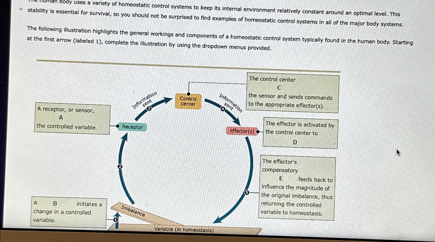 Solved systems to keep its internal environment relatively | Chegg.com