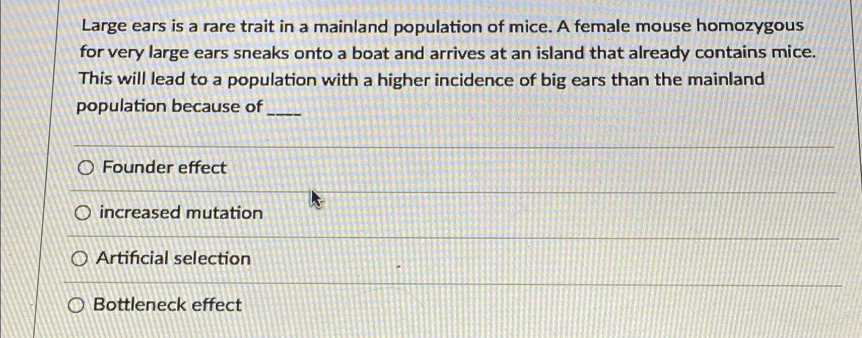 Solved Large ears is a rare trait in a mainland population | Chegg.com