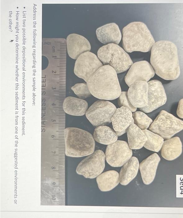 Solved : • List two possible depositional environments for | Chegg.com