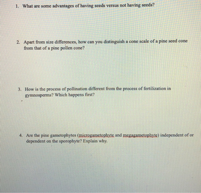 Exercise I: Pinus In conifers, the male and female | Chegg.com