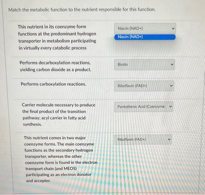 Solved Match the metabolic function to the nutrient | Chegg.com