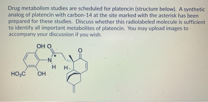 Drug metabolism studies are scheduled for platencin | Chegg.com