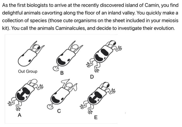 Solved As the first biologists to arrive at the recently | Chegg.com