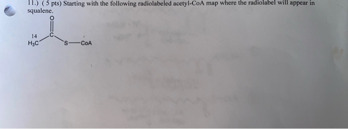 Solved 11.) (5 pts) Starting with the following radiolabeled | Chegg.com