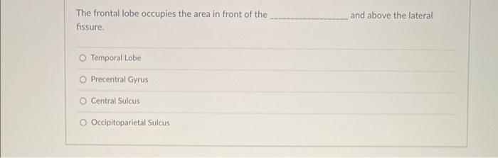 Solved The frontal lobe occupies the area in front of the | Chegg.com