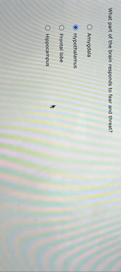Solved What part of the brain responds to fear and | Chegg.com