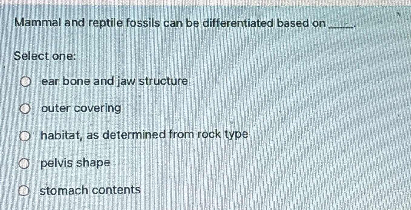 Solved Mammal and reptile fossils can be differentiated | Chegg.com