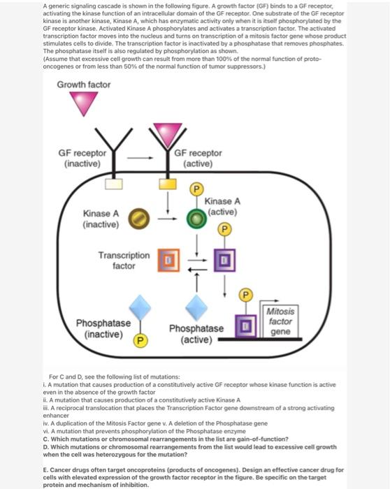 Solved A generic signaling cascade is shown in the following | Chegg.com