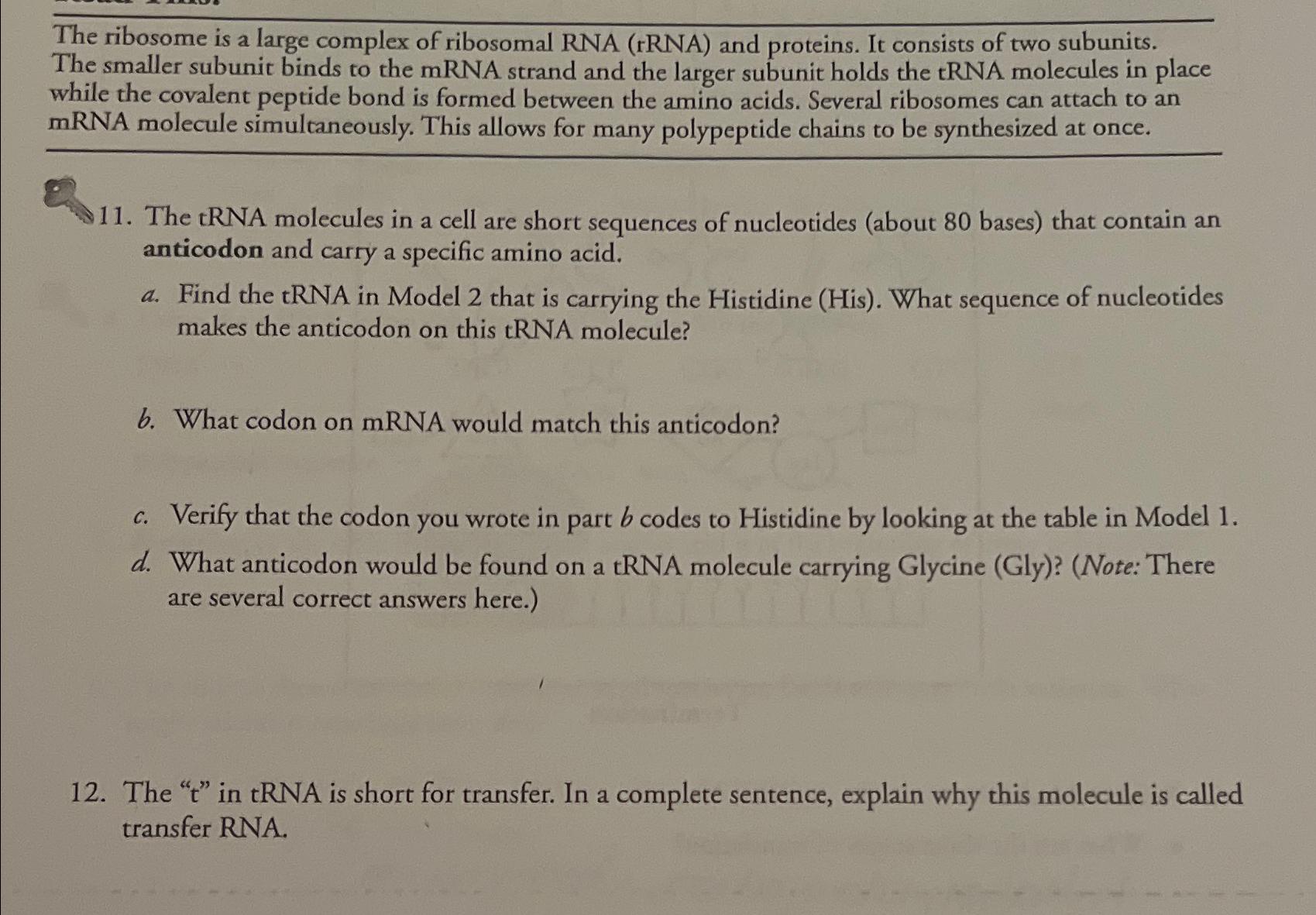 Solved The ribosome is a large complex of ribosomal RNA | Chegg.com