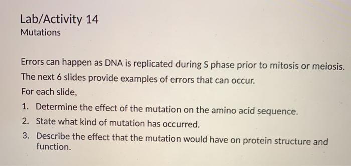 Solved Lab/Activity 14 Mutations Errors can happen as DNA is | Chegg.com