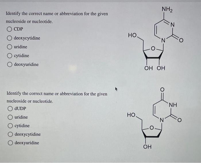 Solved abel the diagram of a growing polynucleotide | Chegg.com