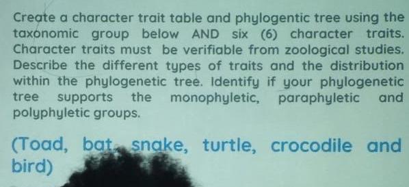 Solved Create a character trait table and phylogentic tree | Chegg.com