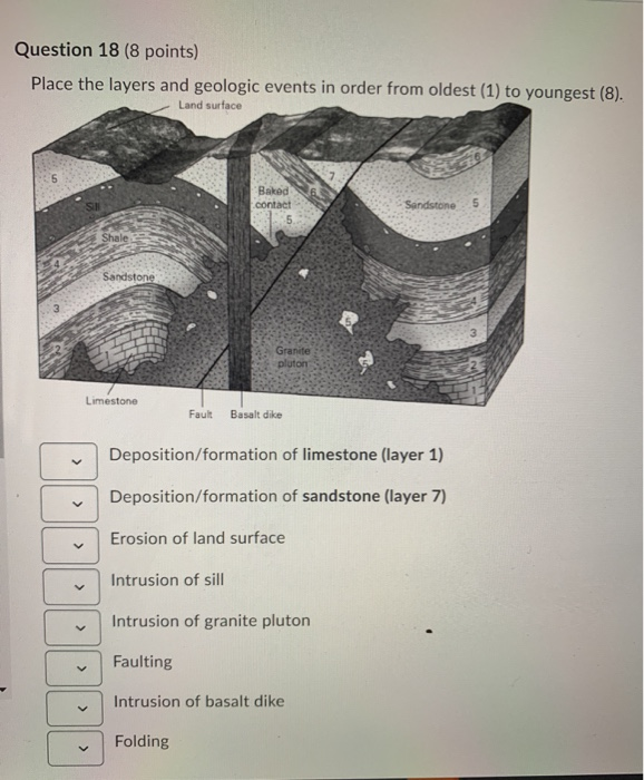 Solved Question 18 (8 points) Place the layers and geologic | Chegg.com