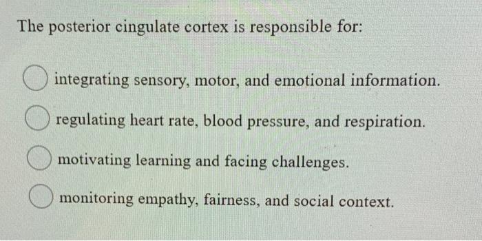 Solved The posterior cingulate cortex is responsible for: | Chegg.com