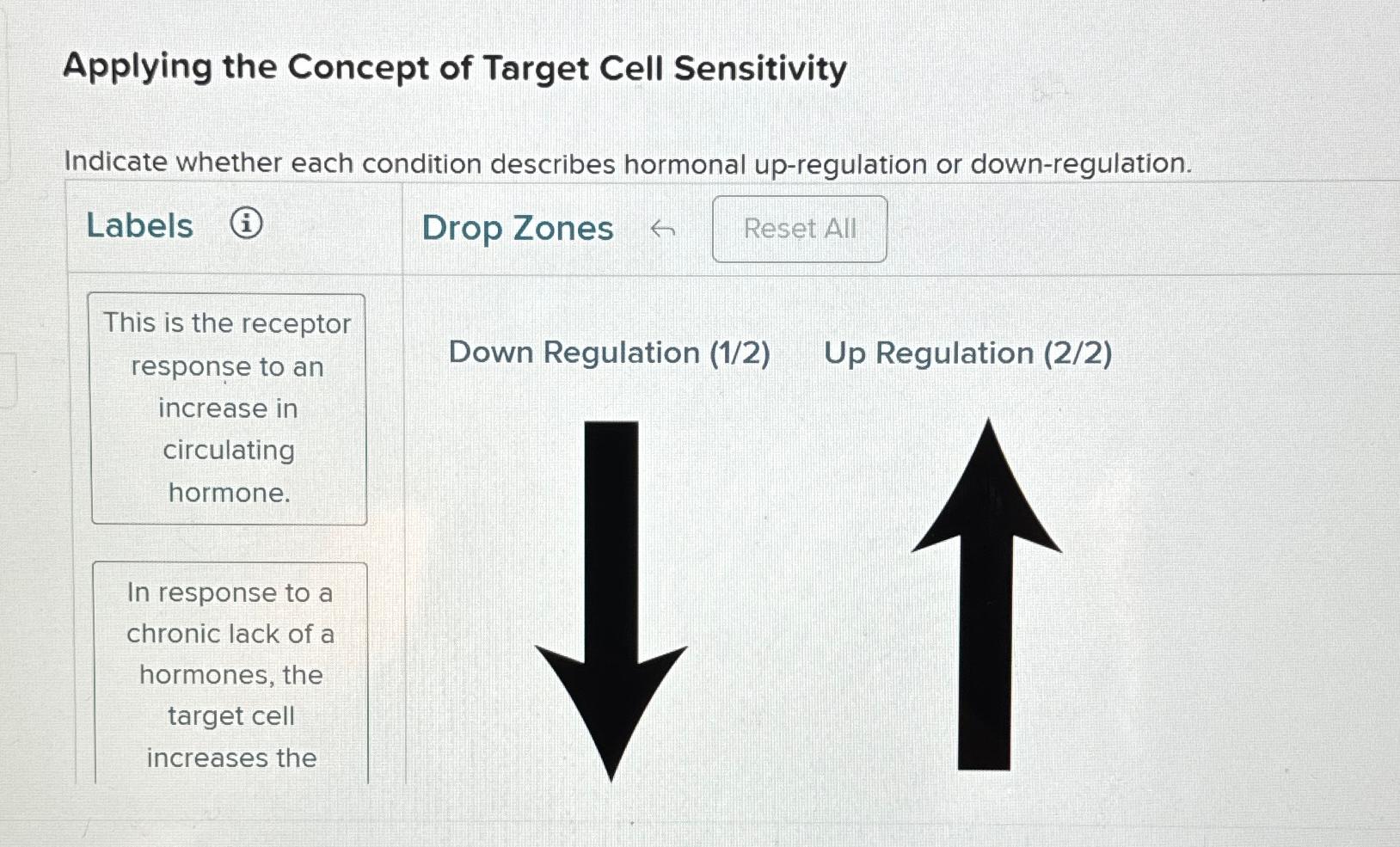 Solved Applying the Concept of Target Cell | Chegg.com