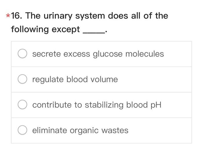 Solved •16. The urinary system does all of the following | Chegg.com