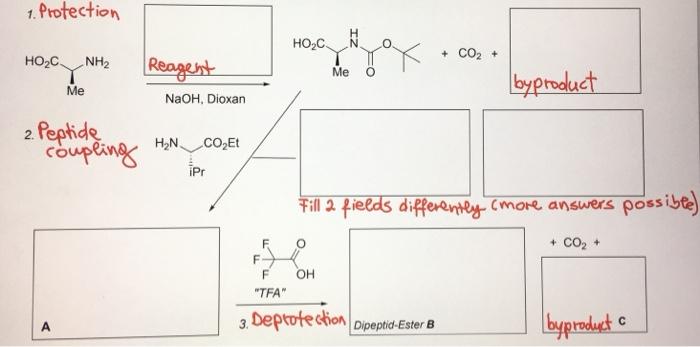 Solved 1. Protection HOC + CO2 + HOZC NH2 Reagent Me O | Chegg.com