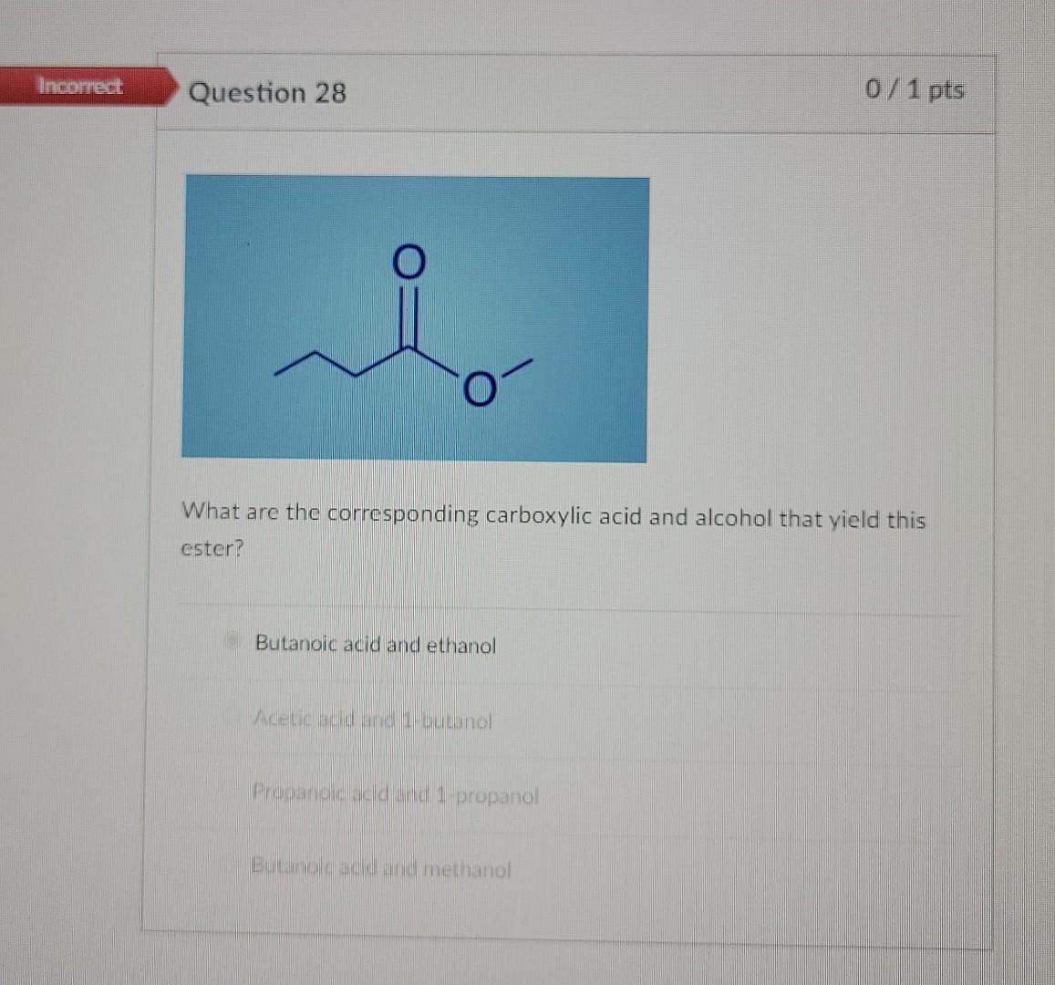 Solved Incorrect Question 28 0/1 pts O What are the | Chegg.com
