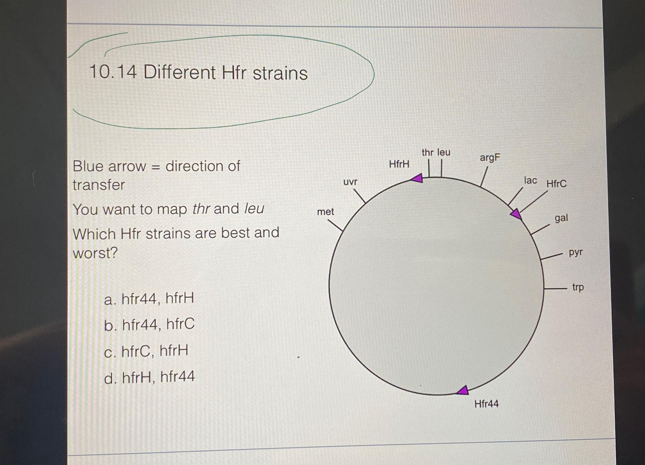 Solved 10.14 ﻿Different Hfr strainsBlue arrow = ﻿direction | Chegg.com