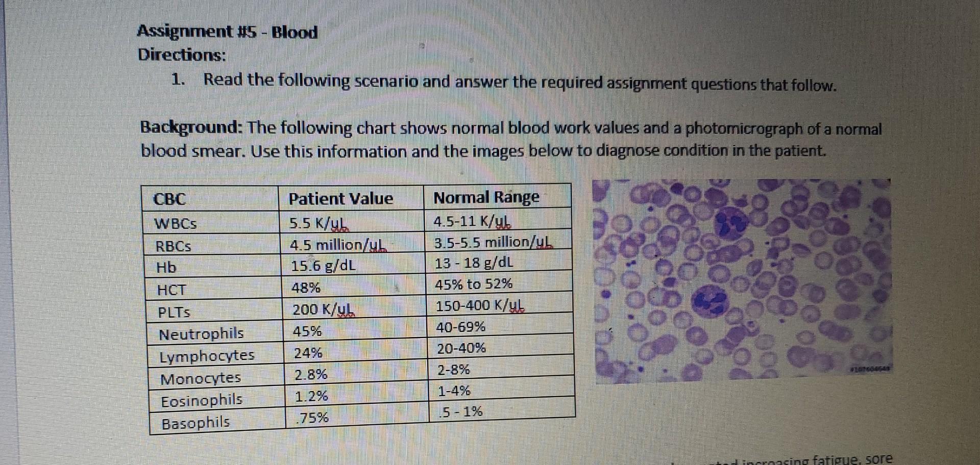Solved Assignment #5 - Blood Directions: 1. Read the | Chegg.com