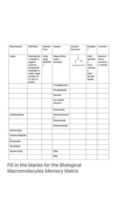 Solved Fill in the blanks for the Biological Macromolecules | Chegg.com