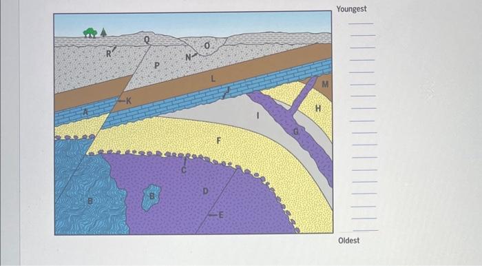 Solved Activity \#2 Relative and Absolute Dating Part 1 - | Chegg.com