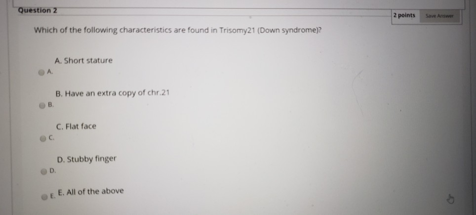 Solved Question 1 N Binary fission in bacteria differs from | Chegg.com