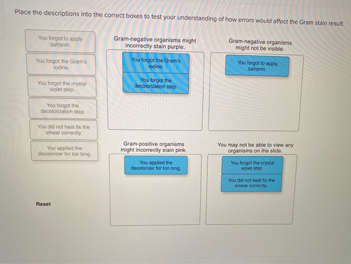 Solved: Place The Descriptions Into The Correct Boxes To T... | Chegg.com Solved: Place The Descriptions Into The Correct Boxes To T... | Chegg.com