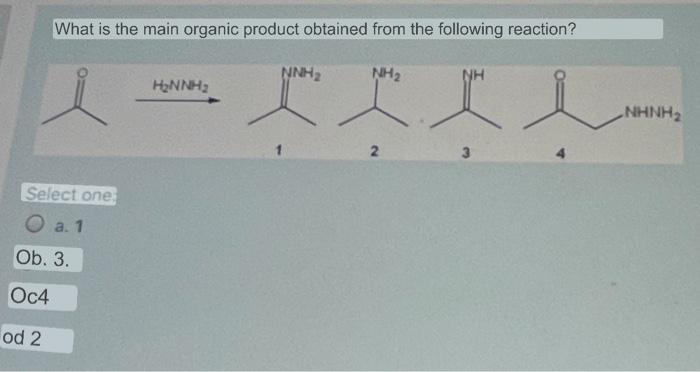 Solved What is the main organic product obtained from the | Chegg.com
