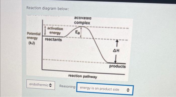 Solved Reaction diagram below: Reaction diagram | Chegg.com