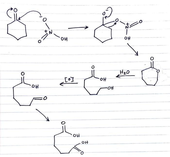 Solved explain the mechanism of cyclohexanone oxidation with | Chegg.com