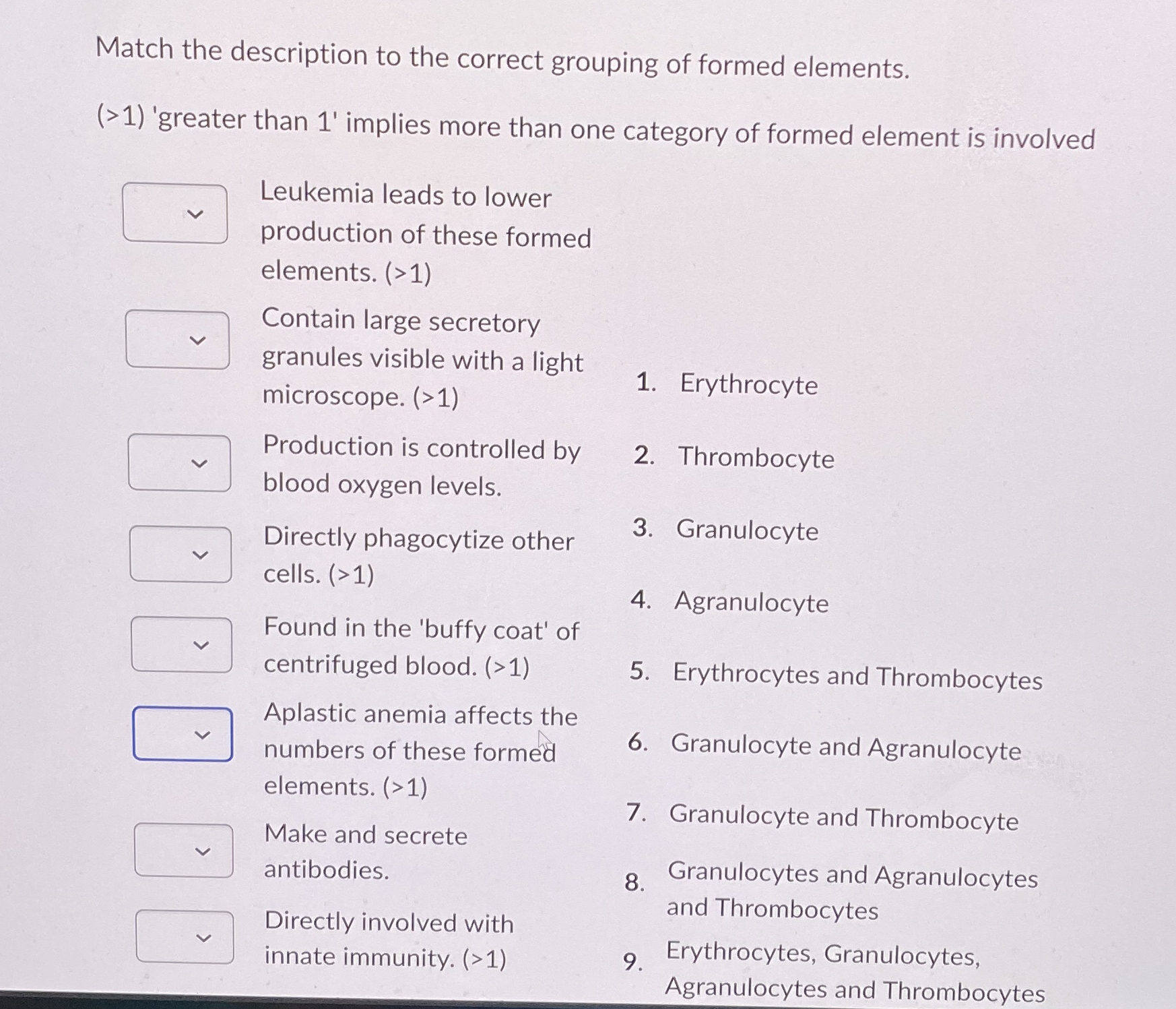 Match the description to the correct grouping of | Chegg.com