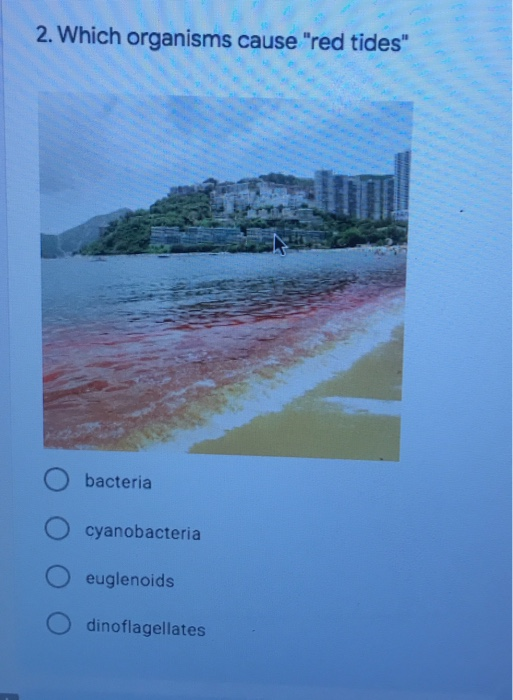 Solved 2. Which organisms cause "red tides" bacteria | Chegg.com