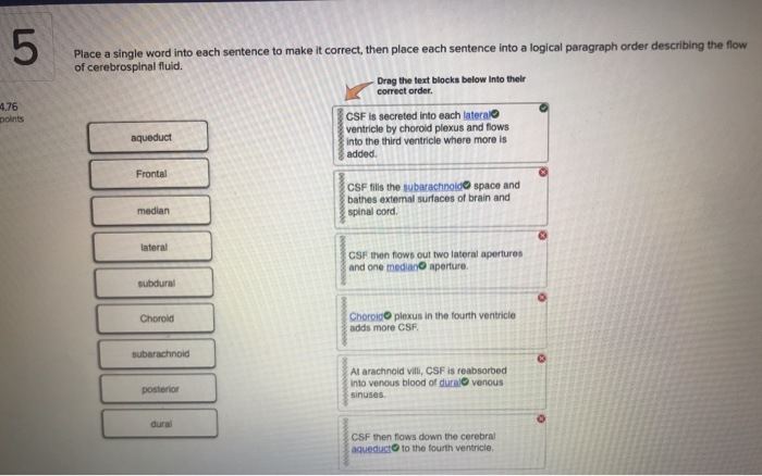 Solved 5 percent Place a single word into each sentence to | Chegg.com Solved 5 percent Place a single word into each sentence to | Chegg.com