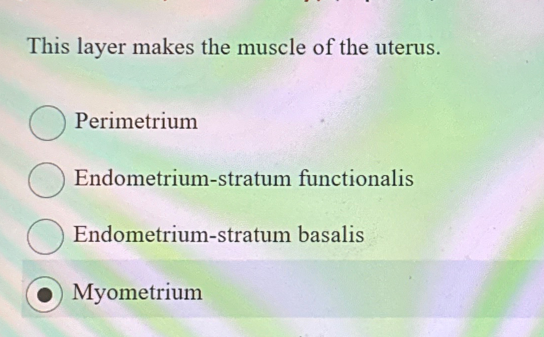 Solved This layer makes the muscle of the | Chegg.com