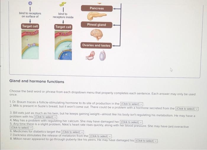 Solved Study the concept map below and then answer the | Chegg.com