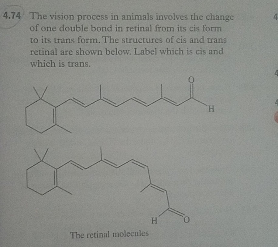 Solved 4 4.74 The vision process in animals involves the | Chegg.com