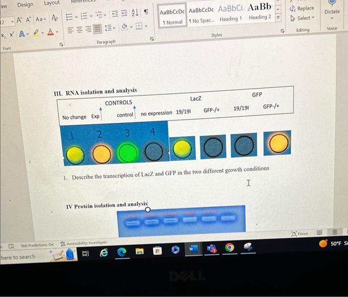 Solved 2. Describe the translation of LacZ and GFP in the | Chegg.com