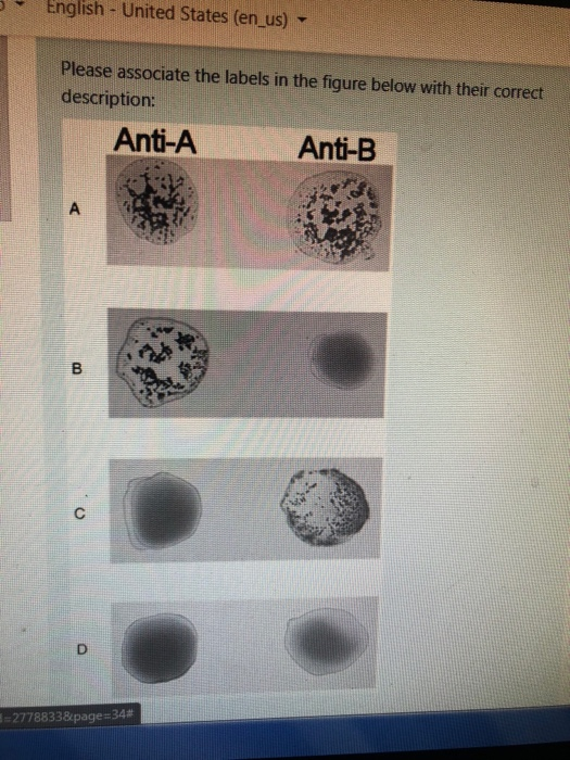 Solved English - United States (en_us) Please associate the | Chegg.com