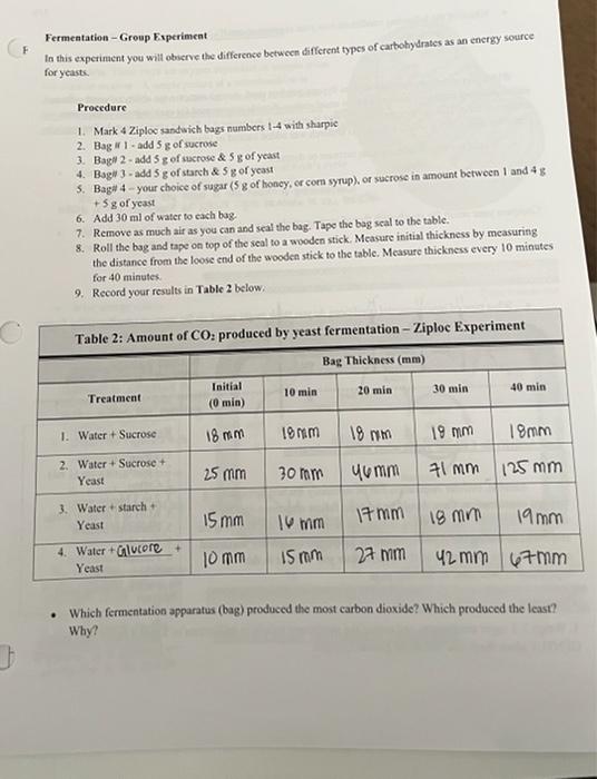 Solved Fermentation - Group Experiment In this experiment | Chegg.com