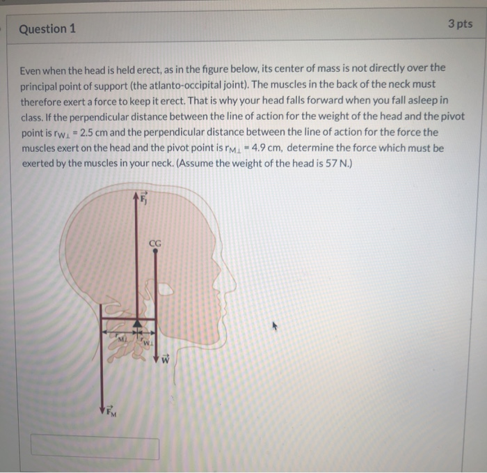 Solved Question 1 3 pts Even when the head is held erect, as | Chegg.com