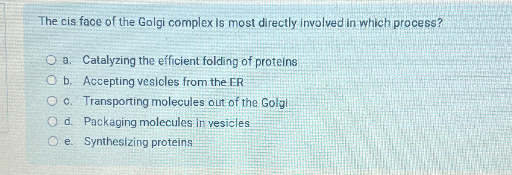 Solved The cis face of the Golgi complex is most directly | Chegg.com
