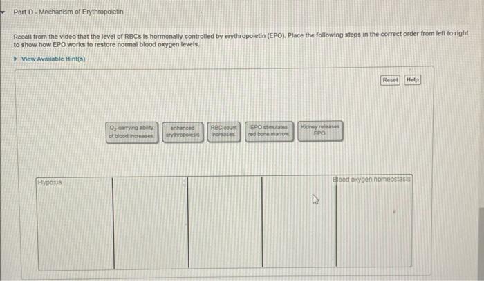 Solved Drag the labels onto the diagram to identify the | Chegg.com