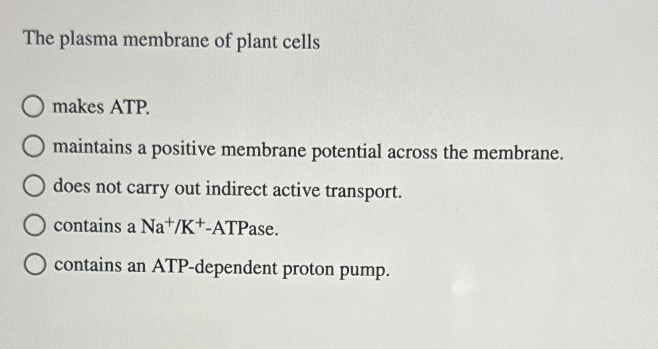 Solved The plasma membrane of plant cellsmakes ATP.maintains | Chegg.com