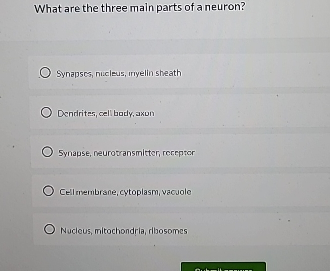 Solved What are the three main parts of a neuron?Synapses, | Chegg.com