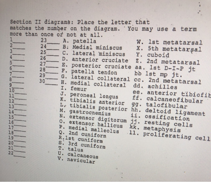 Solved 1 WN 5 6 NNNNNNM LONGO OO 8 9 10 Section II diagrams: | Chegg.com