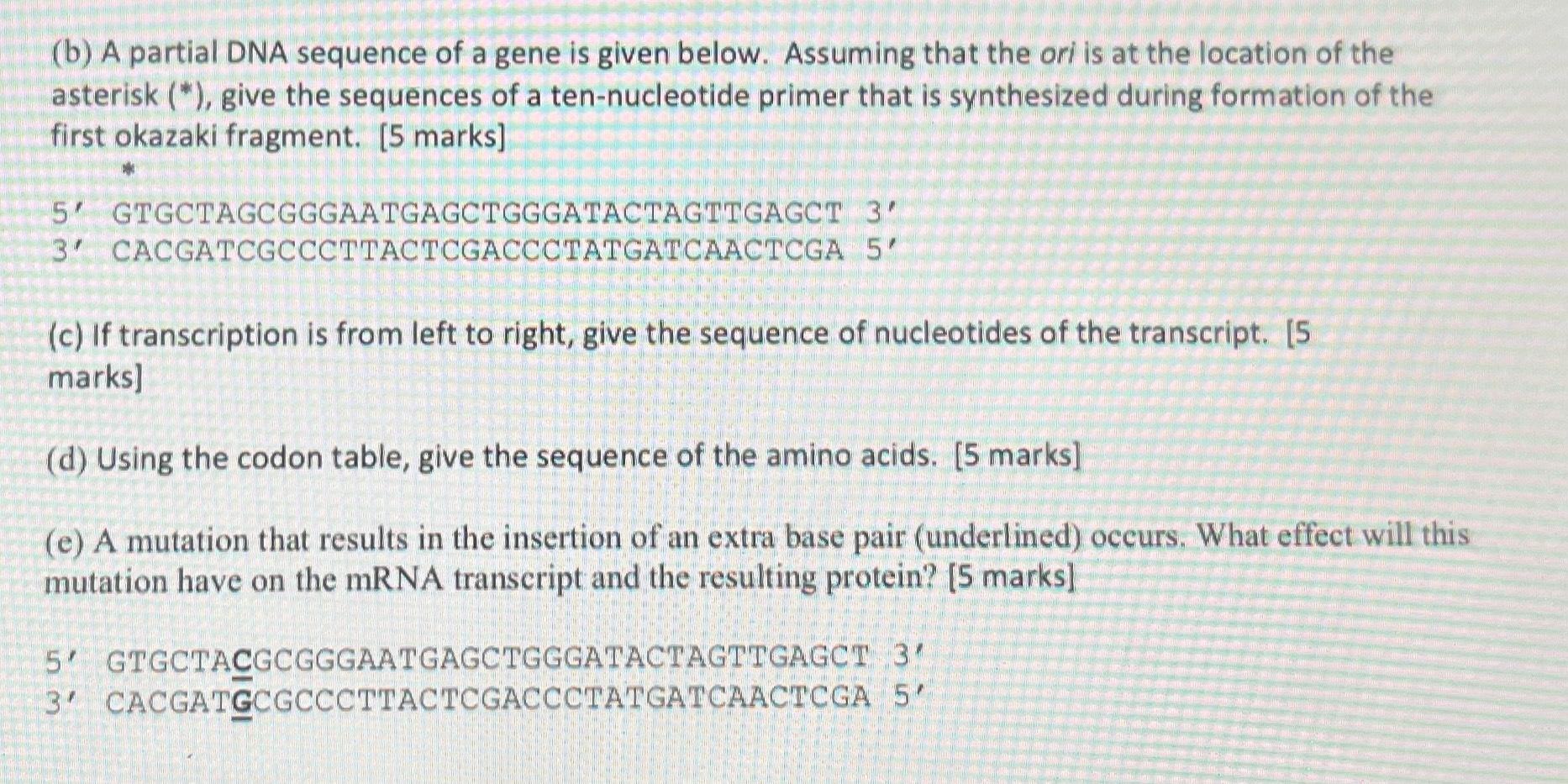 Solved (b) ﻿A partial DNA sequence of a gene is given below. | Chegg.com