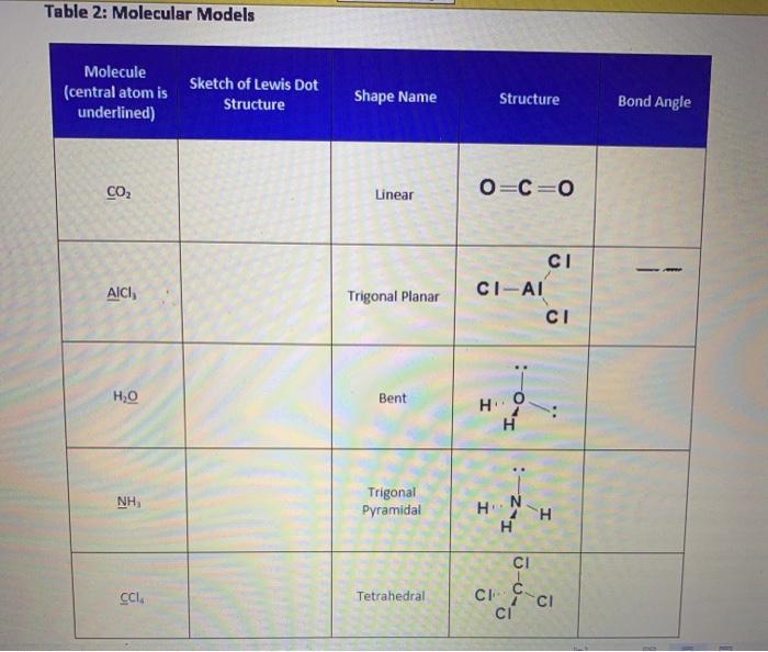 Solved Table 2: Molecular Models Molecule (central atom is | Chegg.com